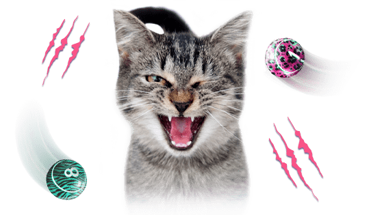 Play Online Bingo UK | Bet £5 Get £25 | Kitty Bingo